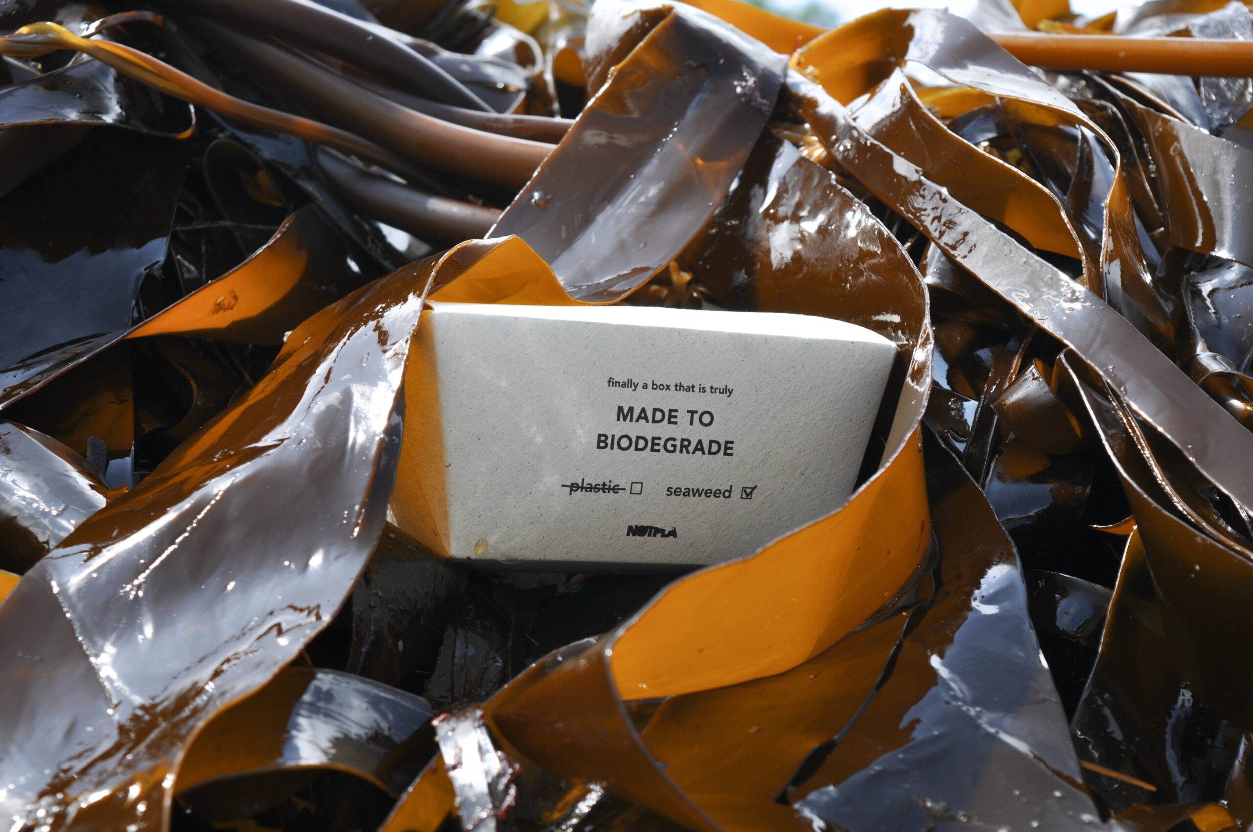 A startup creating sustainable packaging options raises £10M to ...