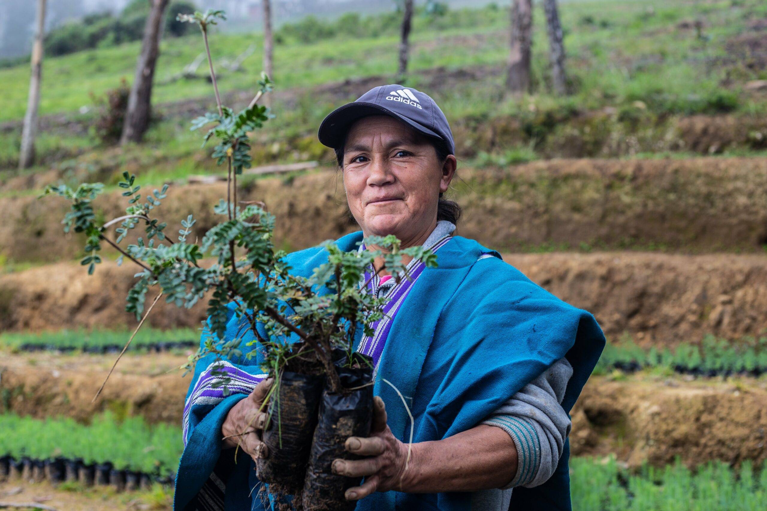 How businesses can boost customer and employee loyalty with tree ...