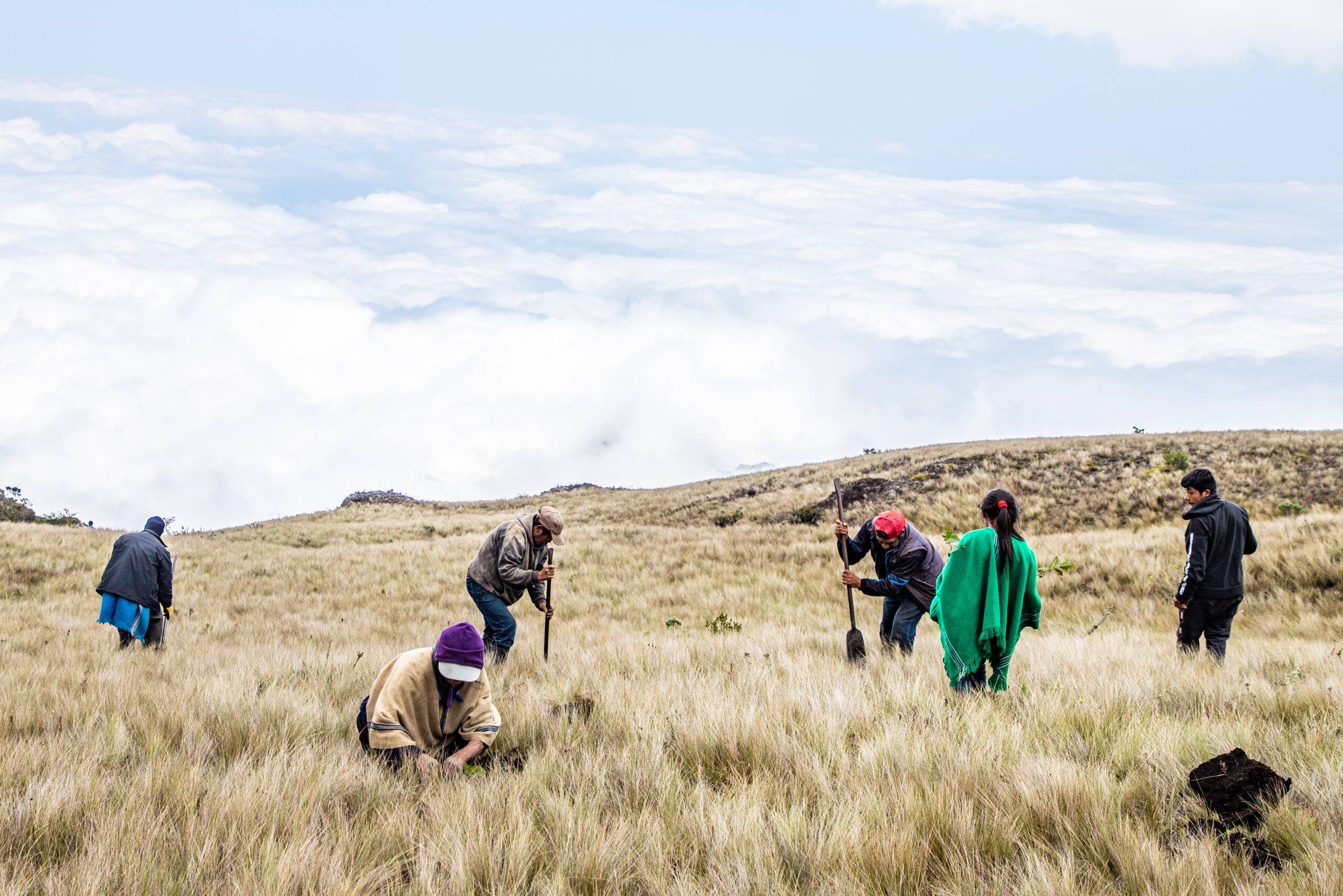 How businesses can boost customer and employee loyalty with tree ...